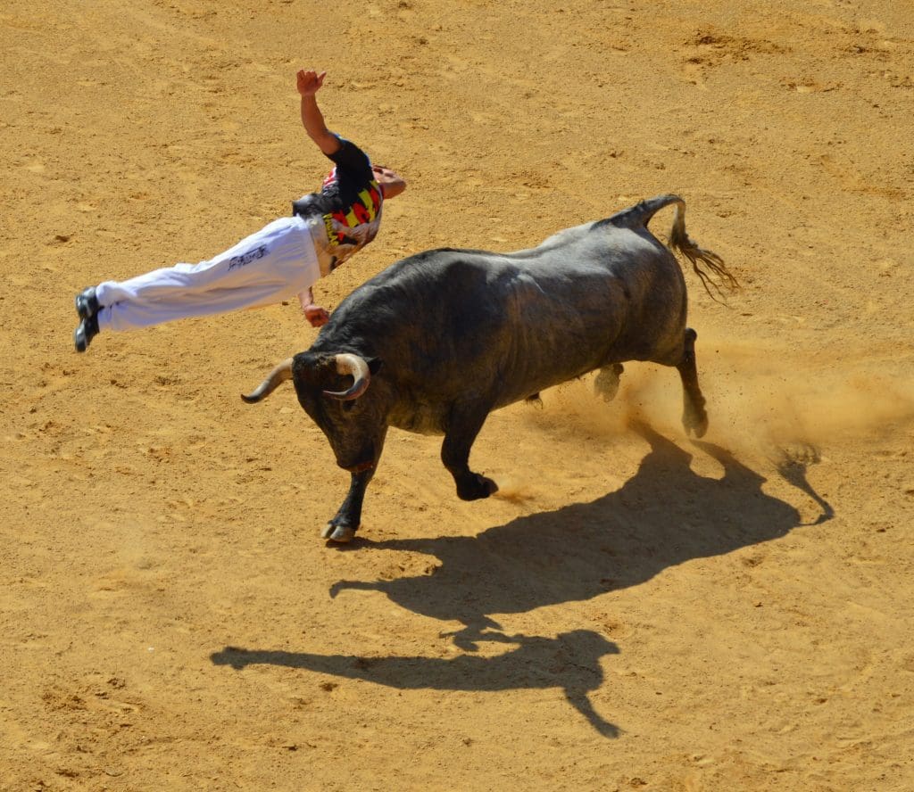 Bullfight exhibition in Madrid | LIVE BULL EXPERIENCE | Campotoro.es