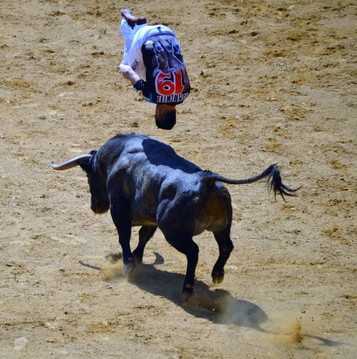Madrid Bull Leaping | Live the Bull Experience
