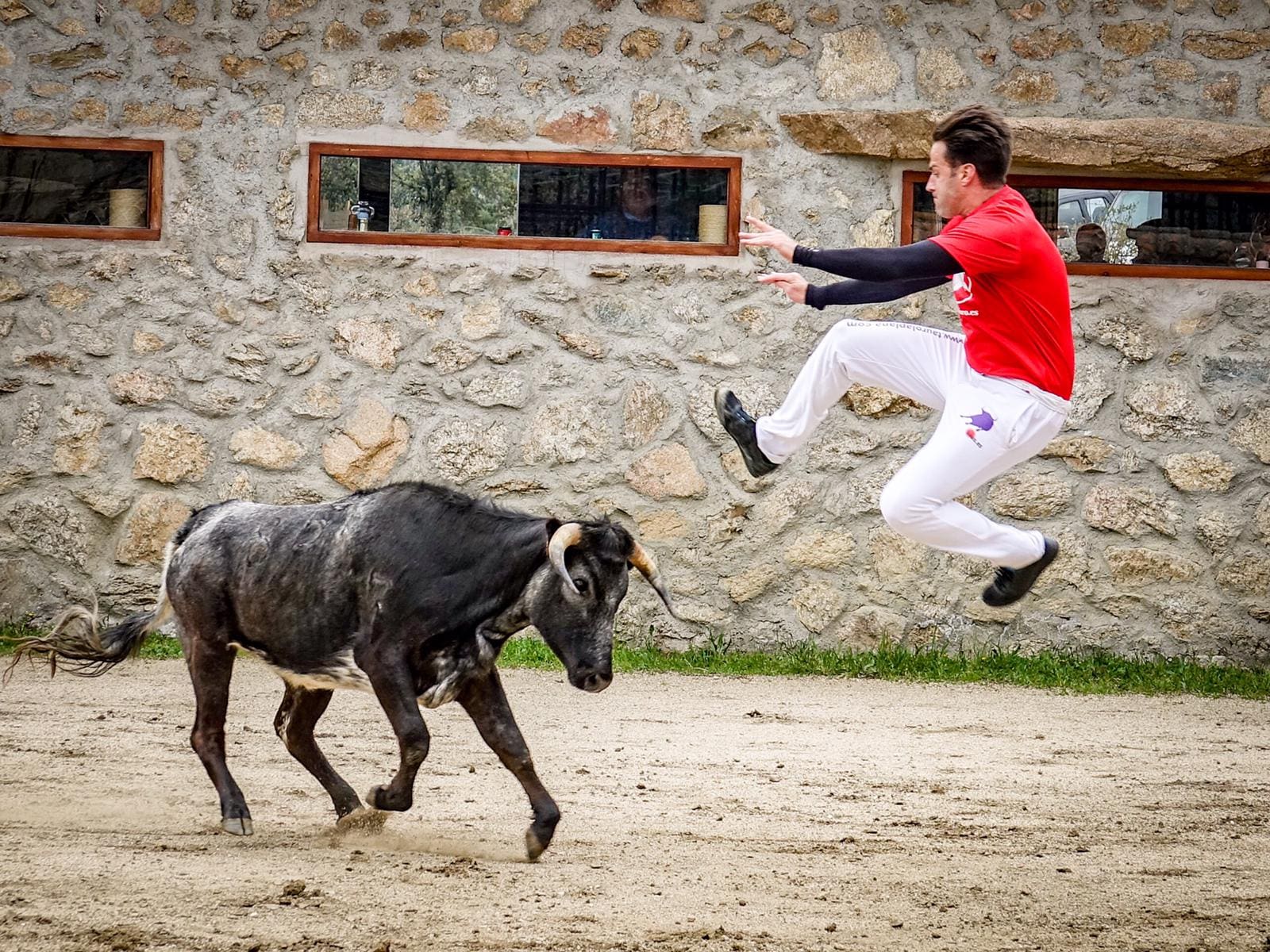 Madrid Bullfight demonstration | Bull Leaping