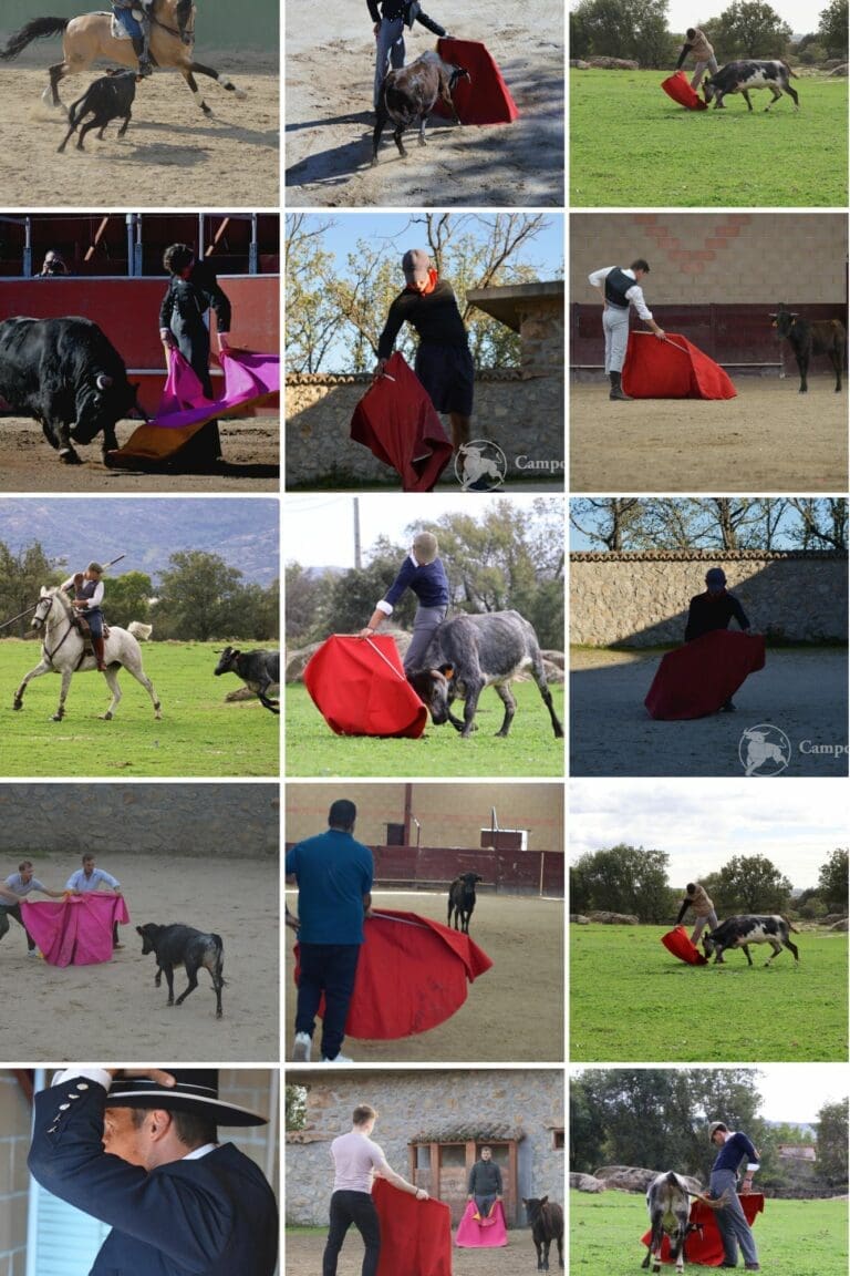 Bullfighting introduction for beginners in Madrid