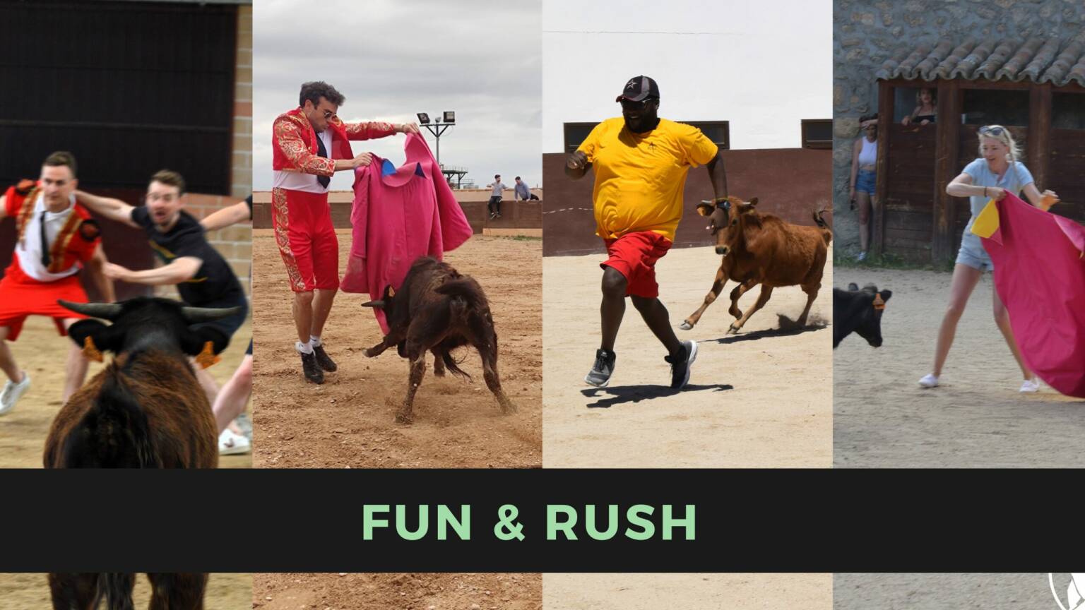 Bullfighting Vocabulary, Dive into Spanish culture | Campotoro.es