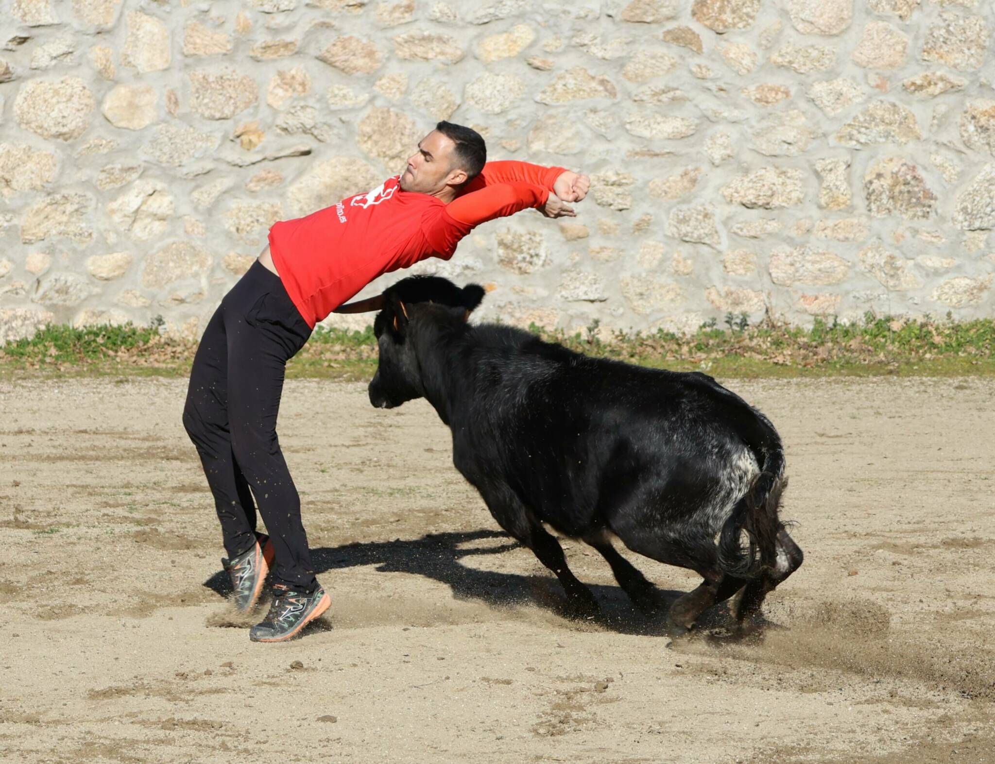 Bullfight exhibition in Madrid | Bull Leaping | Recortadores