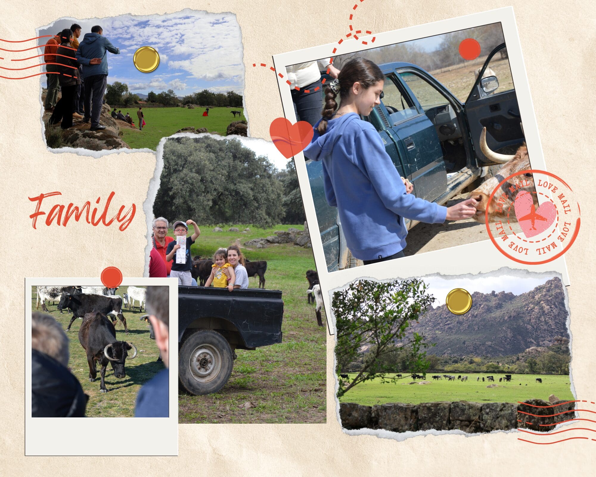 Top Things to do in Madrid: Don’t Miss the Brave Bull Ranch tour